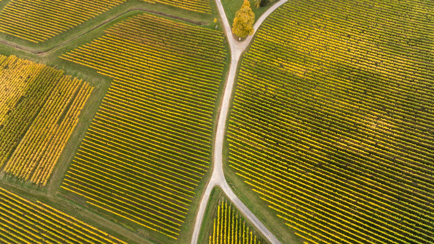 Decarbonization: Reducing greenhouse gas emissions for a positive ...